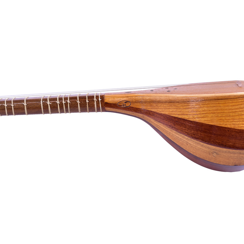 Professional Persian Setar – Ava Model by Ava - ShopiPersia