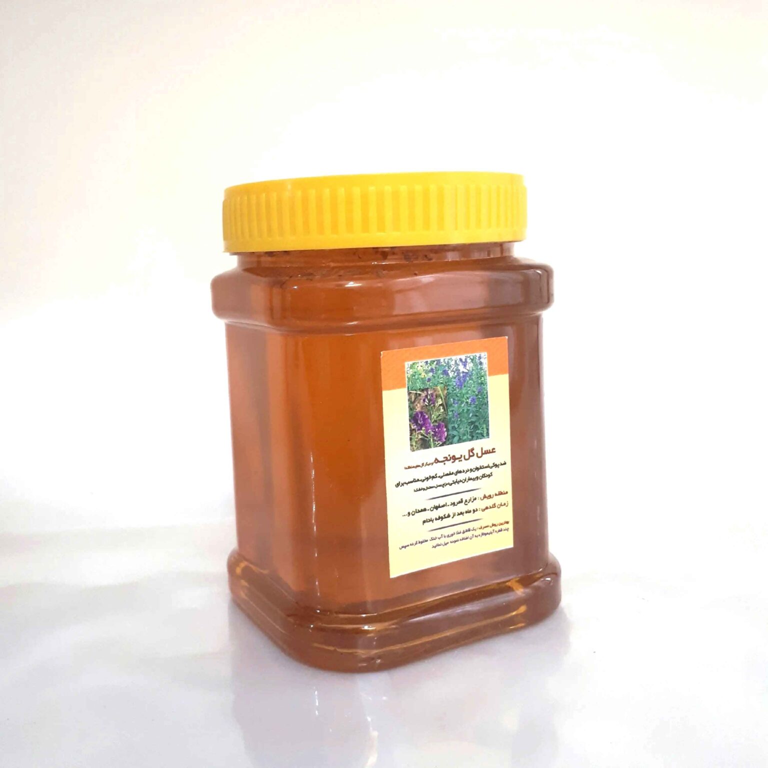 Dried Oleaster Powder (Russian Olive) - 800 grams - ShopiPersia