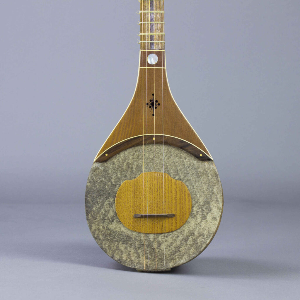 Professional Persian Setar Instrument with Leather Soundbox - ShopiPersia