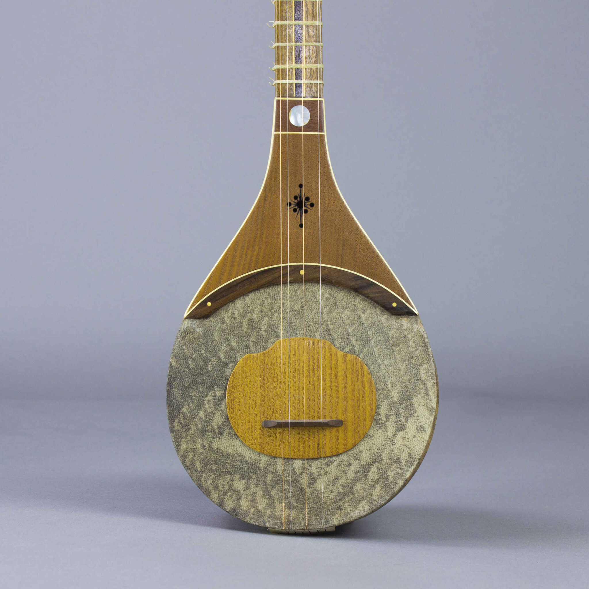 Professional Persian Setar Instrument with Leather Soundbox - ShopiPersia