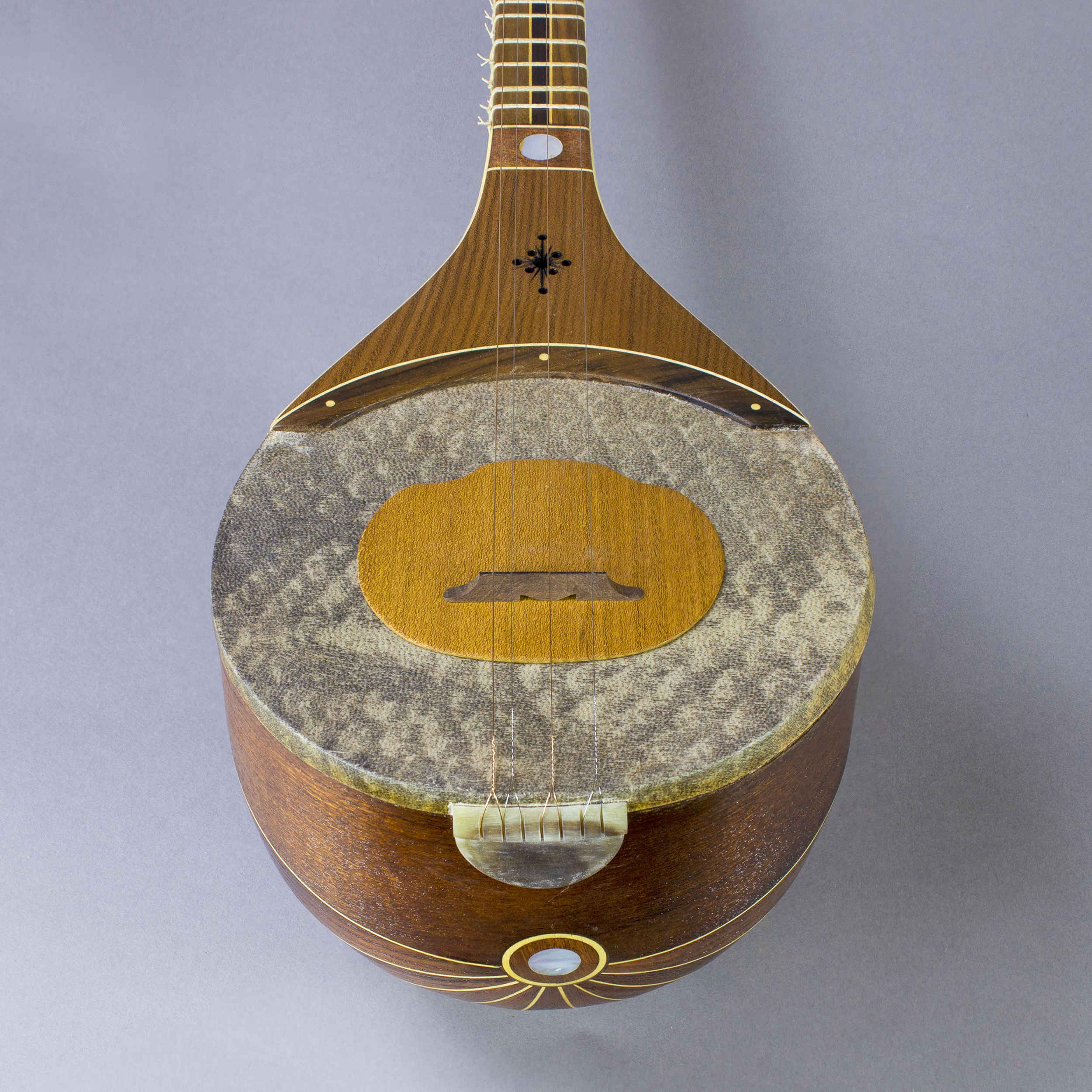 Professional Persian Setar Instrument with Leather Soundbox - ShopiPersia