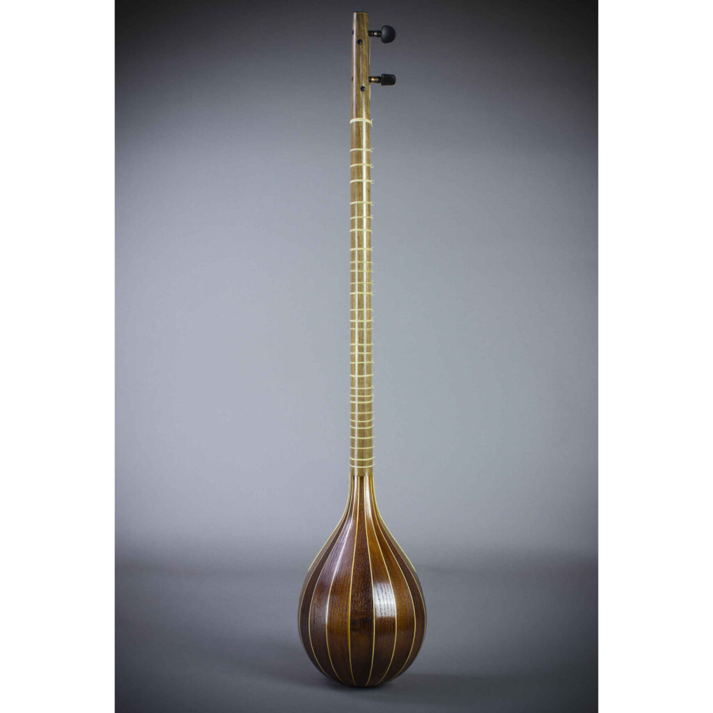 Professional Persian Setar Instrument with Leather Soundbox - ShopiPersia