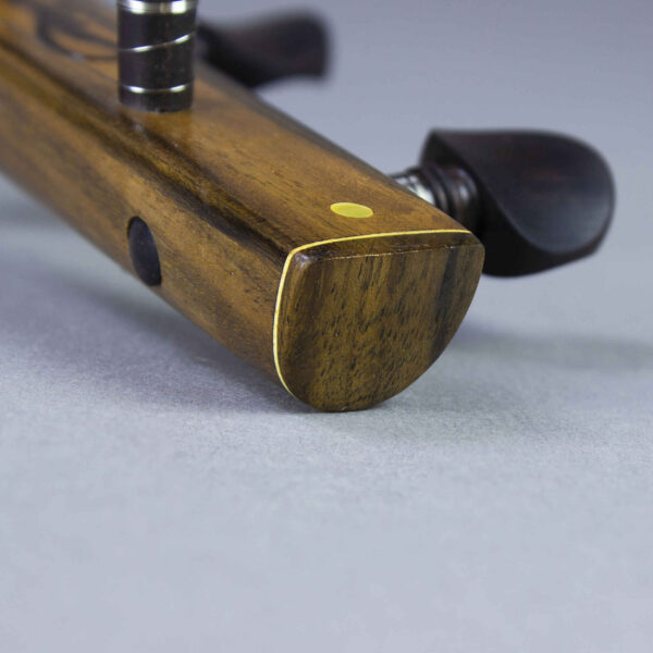 Professional Persian Setar Instrument with Leather Soundbox - ShopiPersia