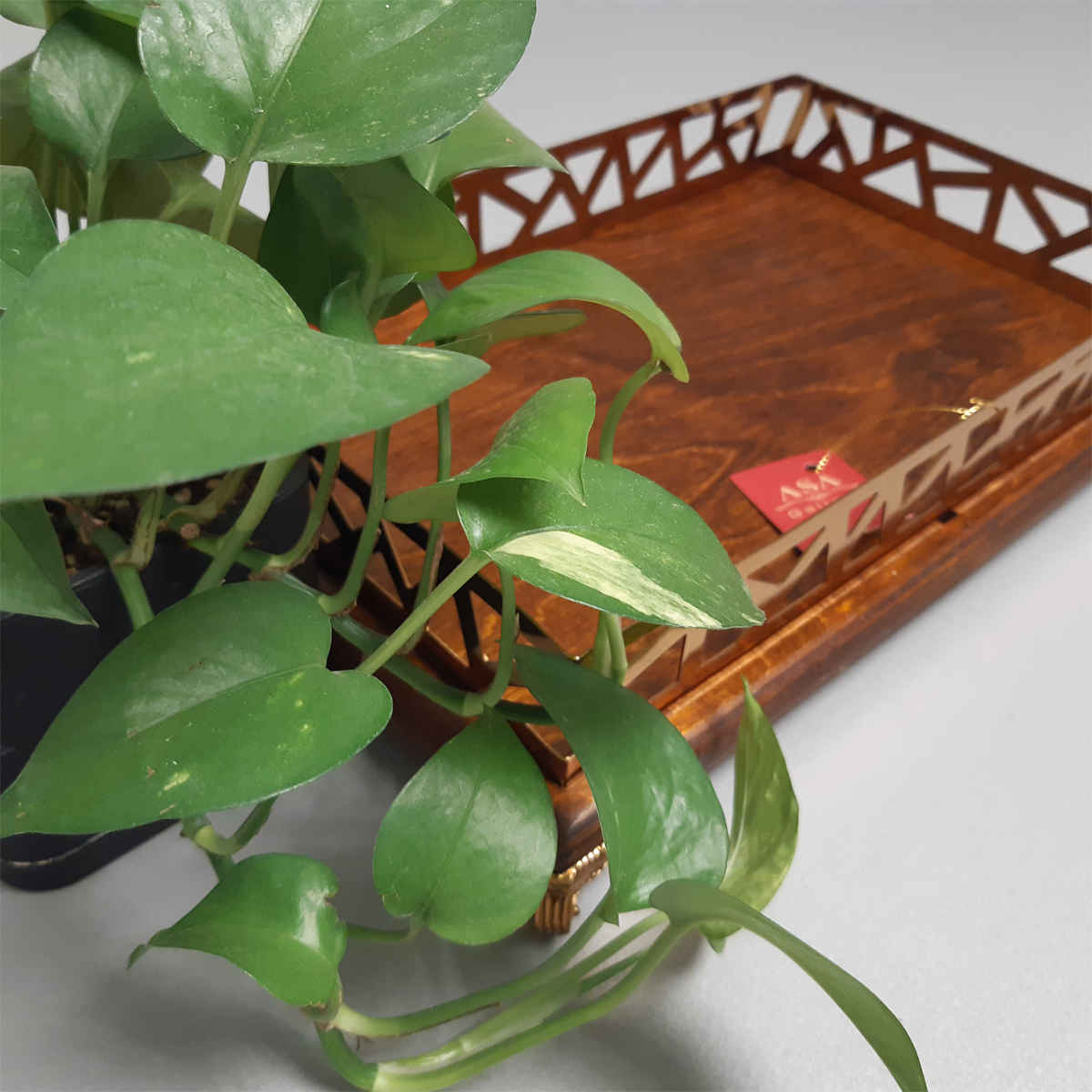 Wooden Serving Tray With Border & Base Model Asa - ShopiPersia