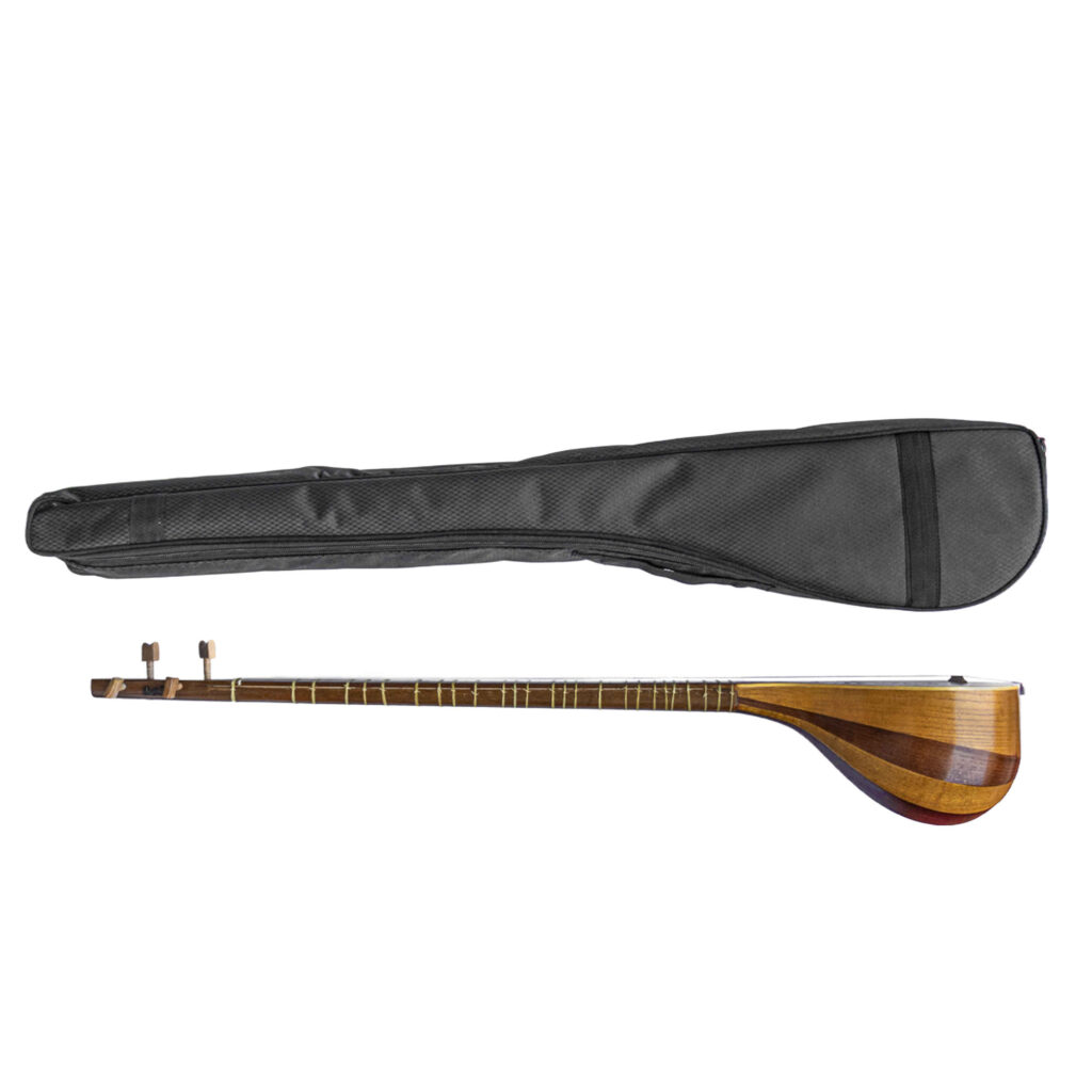 Persian Setar Instrument Handcrafted by AVA Model Derafsh - ShopiPersia