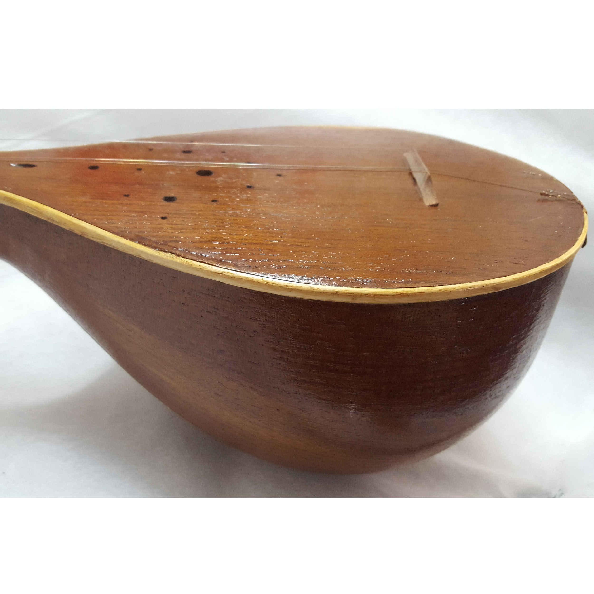 Traditional Persian Setar by Fard, Model Shams (For Beginners ...