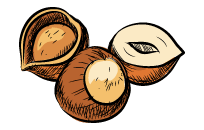 Online Persian, Arabic & Middle Eastern Store - ShopiPersia