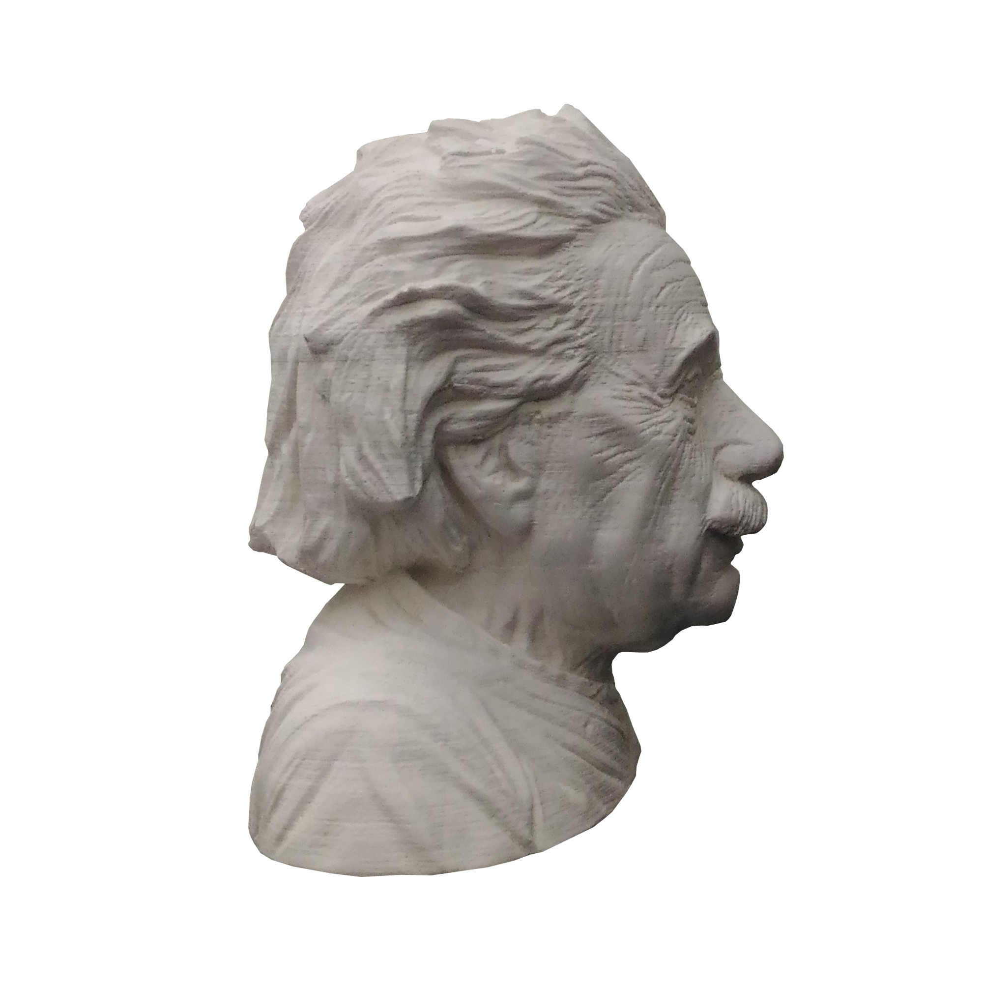 Albert Einstein Bust Figurine Statue - Famous Scientist Art Piece ...