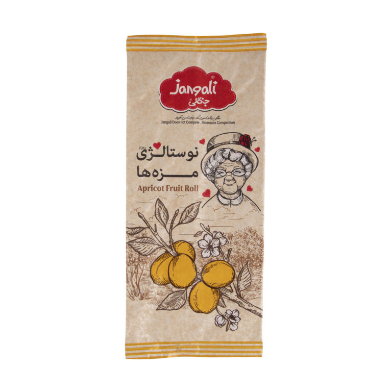 Persian Apricot Fruit Roll Lavashak Fruit Leather 12 Pcs (2x) - ShopiPersia