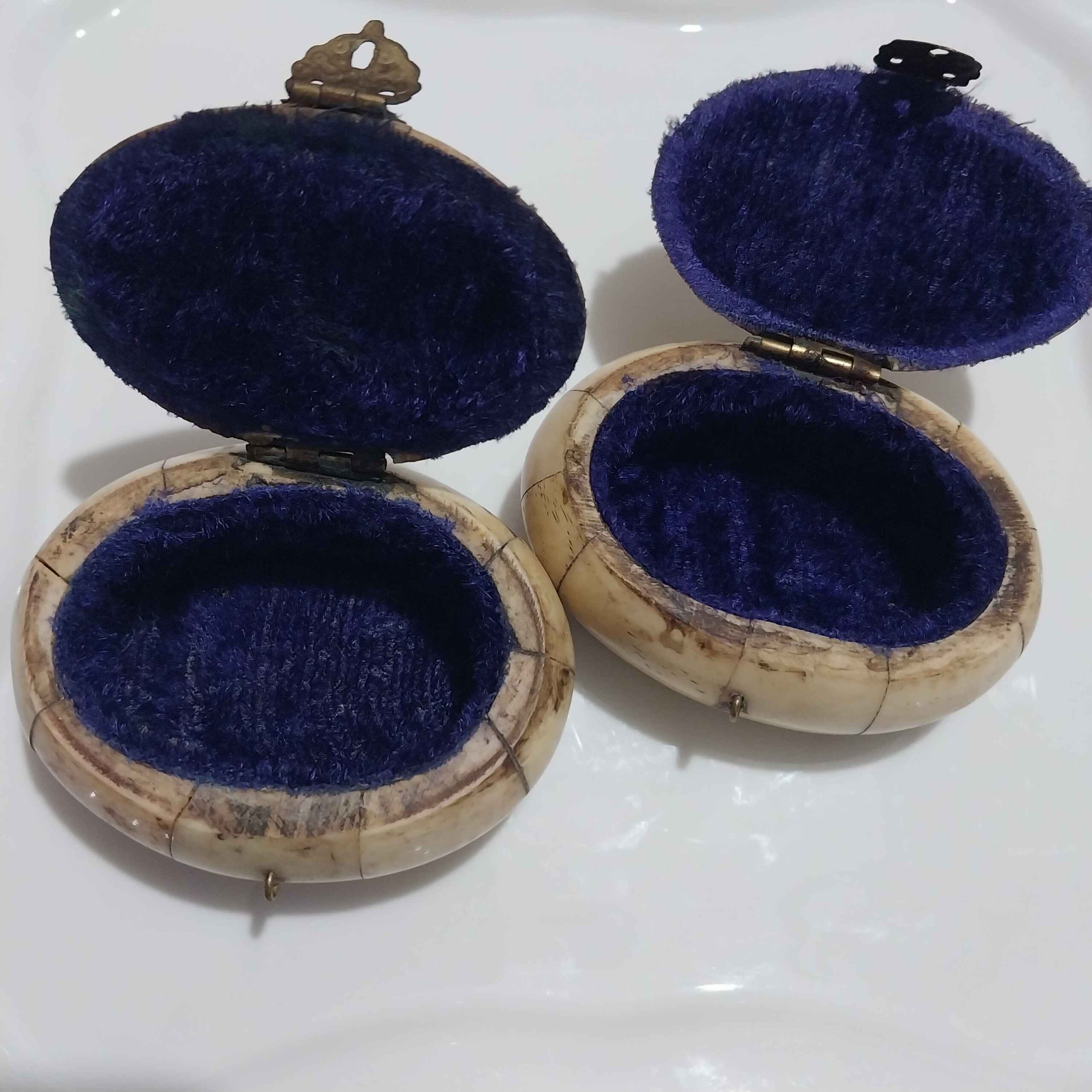 Handcrafted Jewelry Bone Box – Elegant & Unique Storage for Precious ...