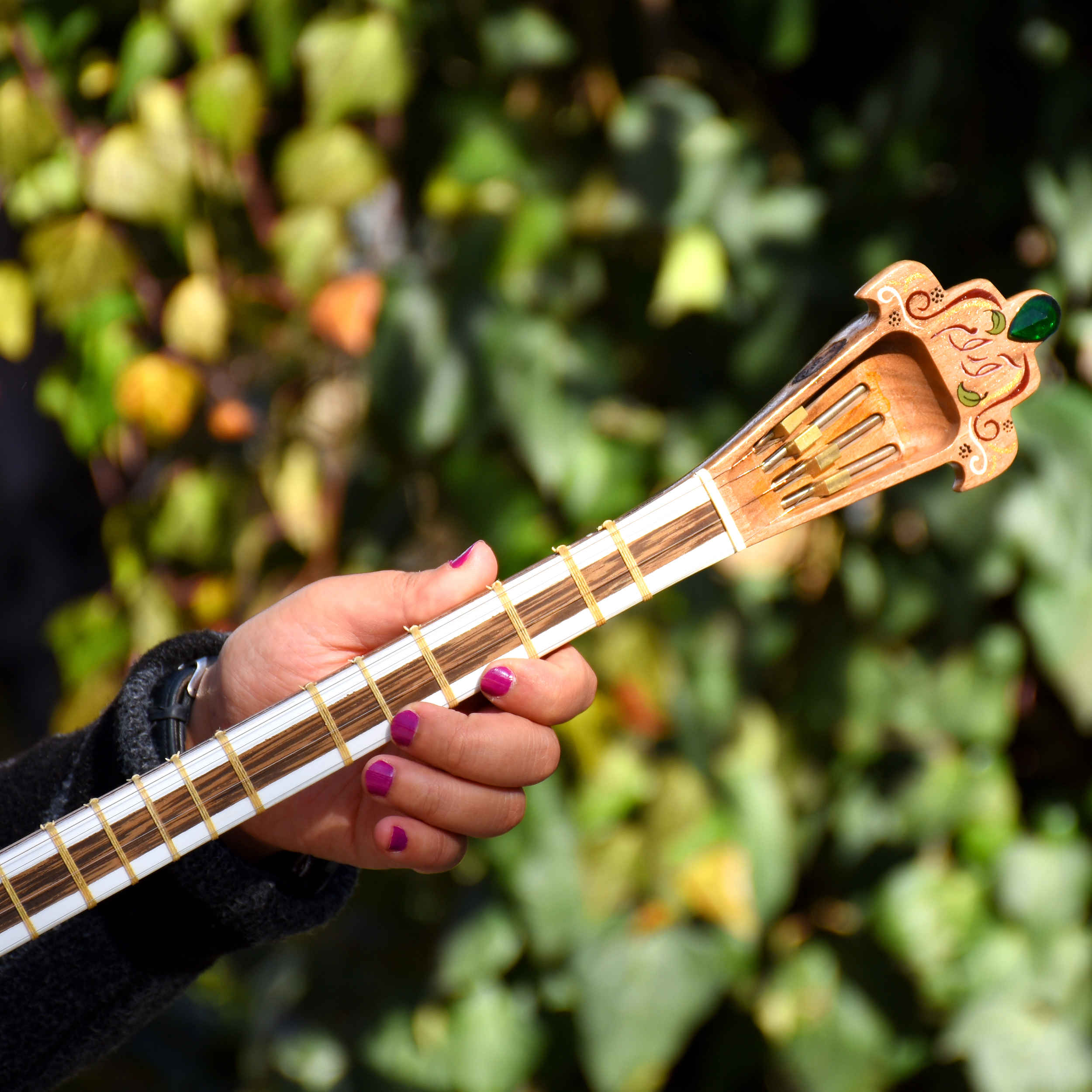 Expert Persian Setar – Handcrafted by Iransaz, Model Aram (Professional ...