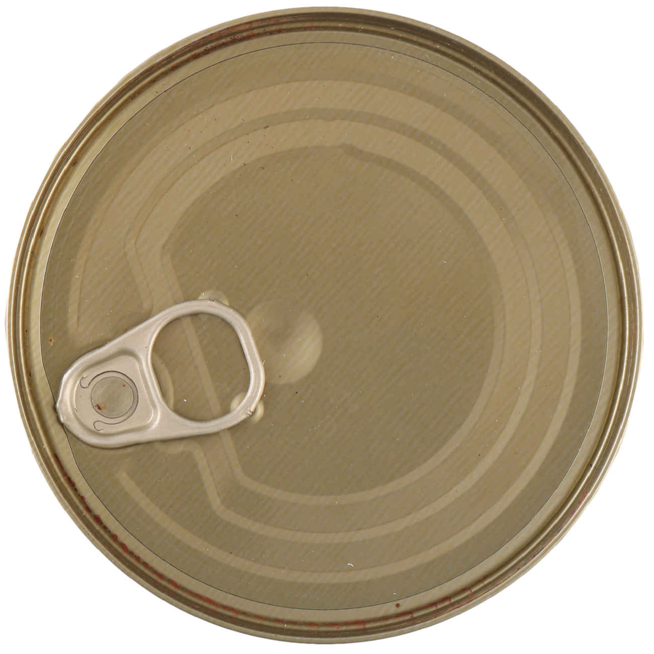 Fried Eggplant - Gilani Canned Food 460 gram Pack of 5 - ShopiPersia