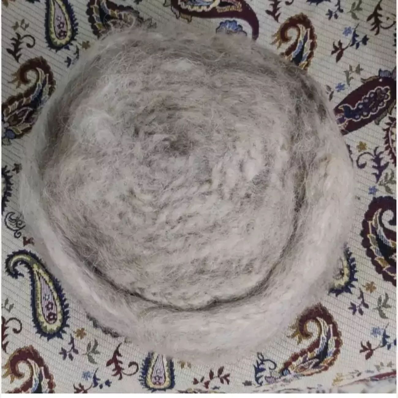 Iranian Dervish Hat – 100% Wool for Sufi Enthusiasts Handmade White ...