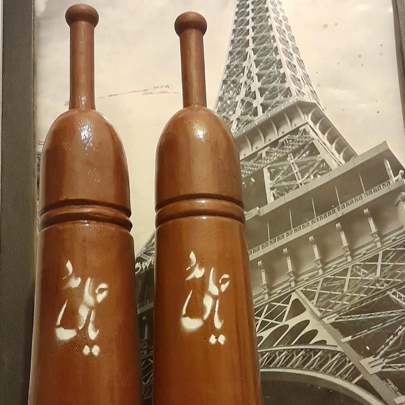 Islamic Women's Modest Swimwear Model Sahar - ShopiPersia