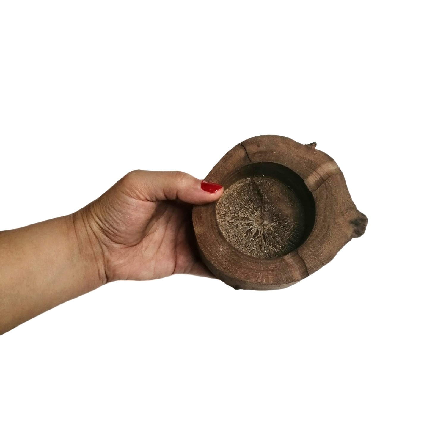 Tree Slice Log Cigar Ashtray – Suitable for Garden or Terrace - ShopiPersia