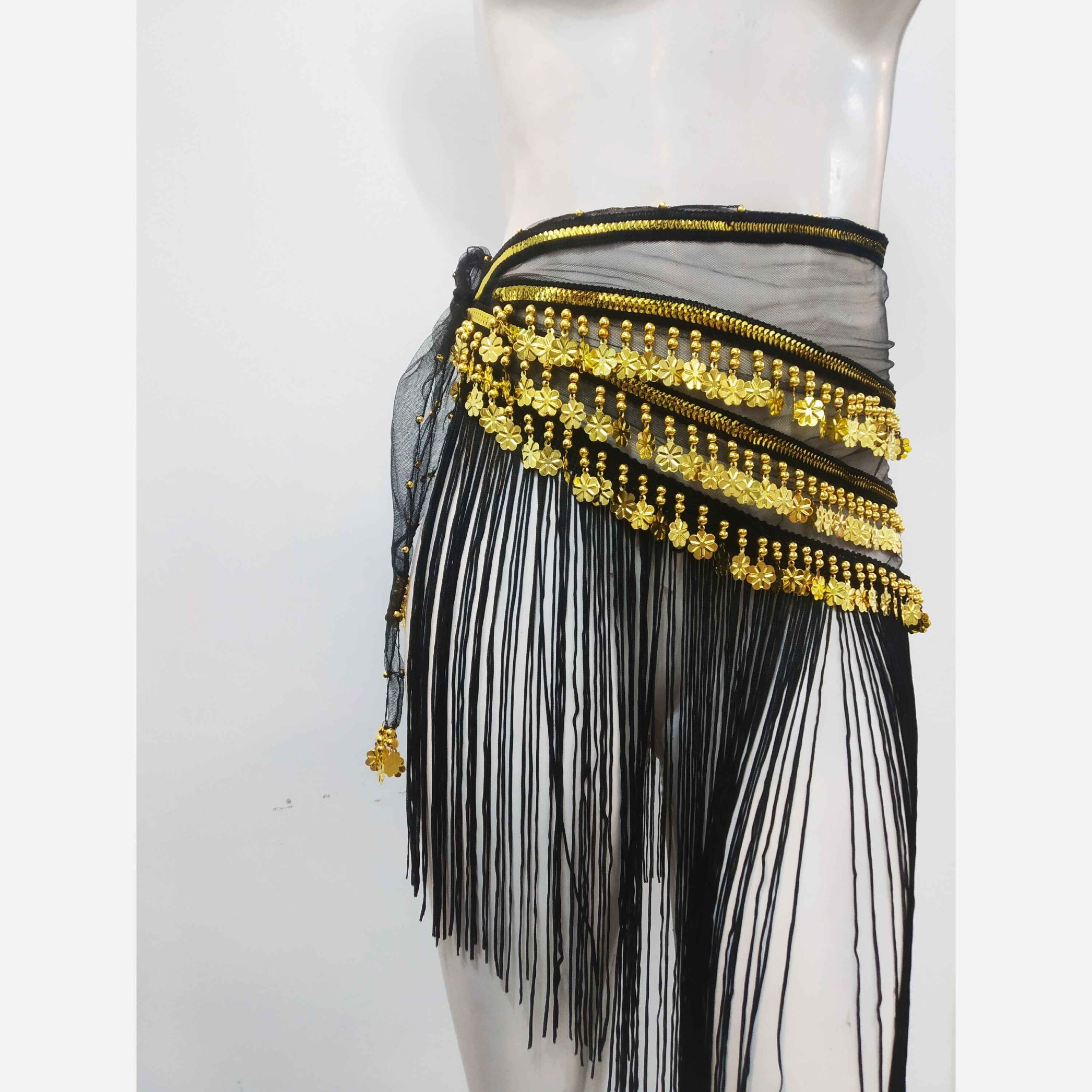 Coin Belly Dance Hip Scarf – Suitable for Beginners and Professionals ...