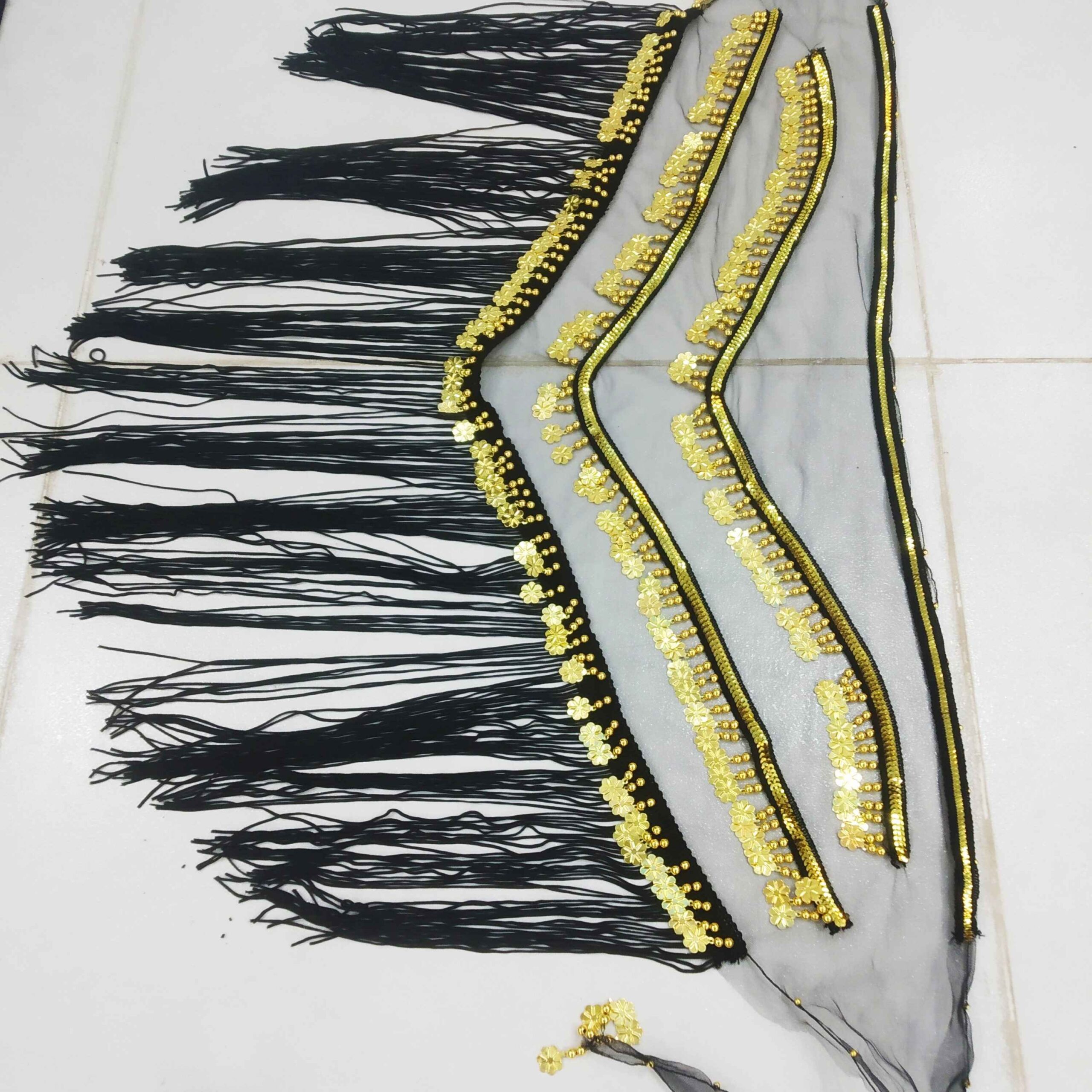 Coin Belly Dance Hip Scarf – Suitable for Beginners and Professionals ...