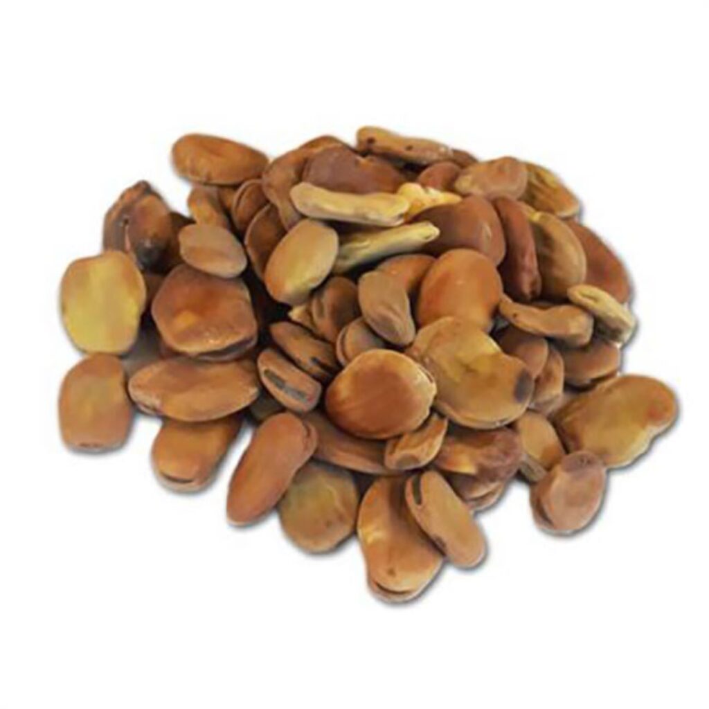 Iranian Nutritious Fava Beans – Suitable for Low-Fat and High-Fiber ...