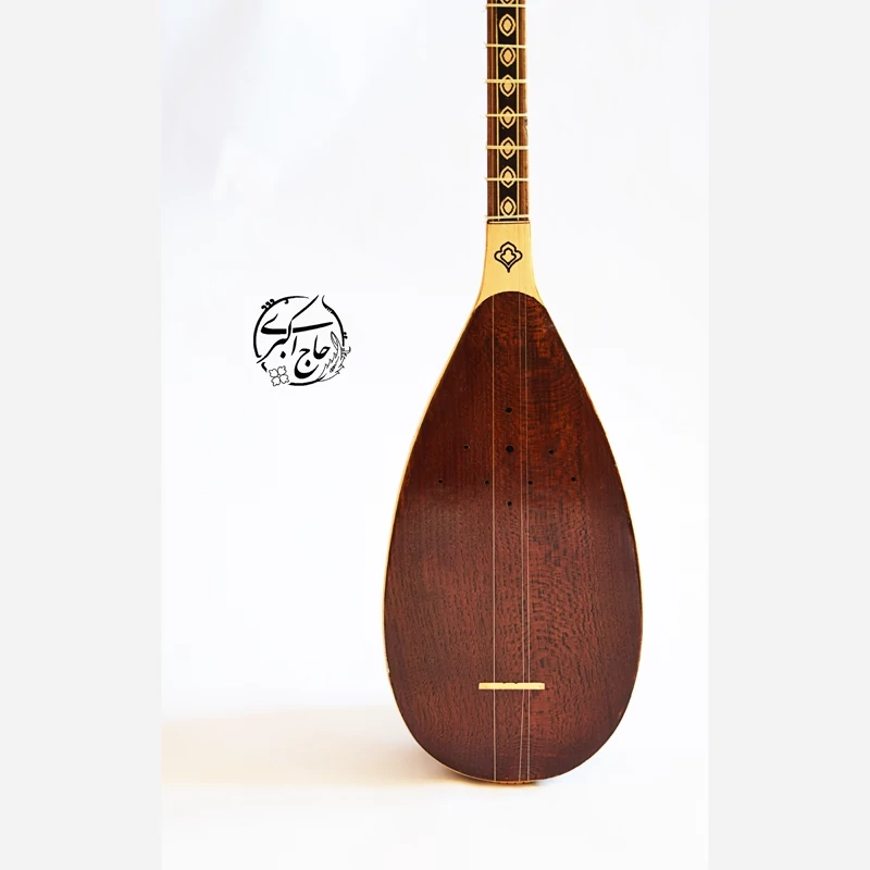 Persian Tanbur by Haj Akbari – Long-Necked Lute with Peacock-Head ...
