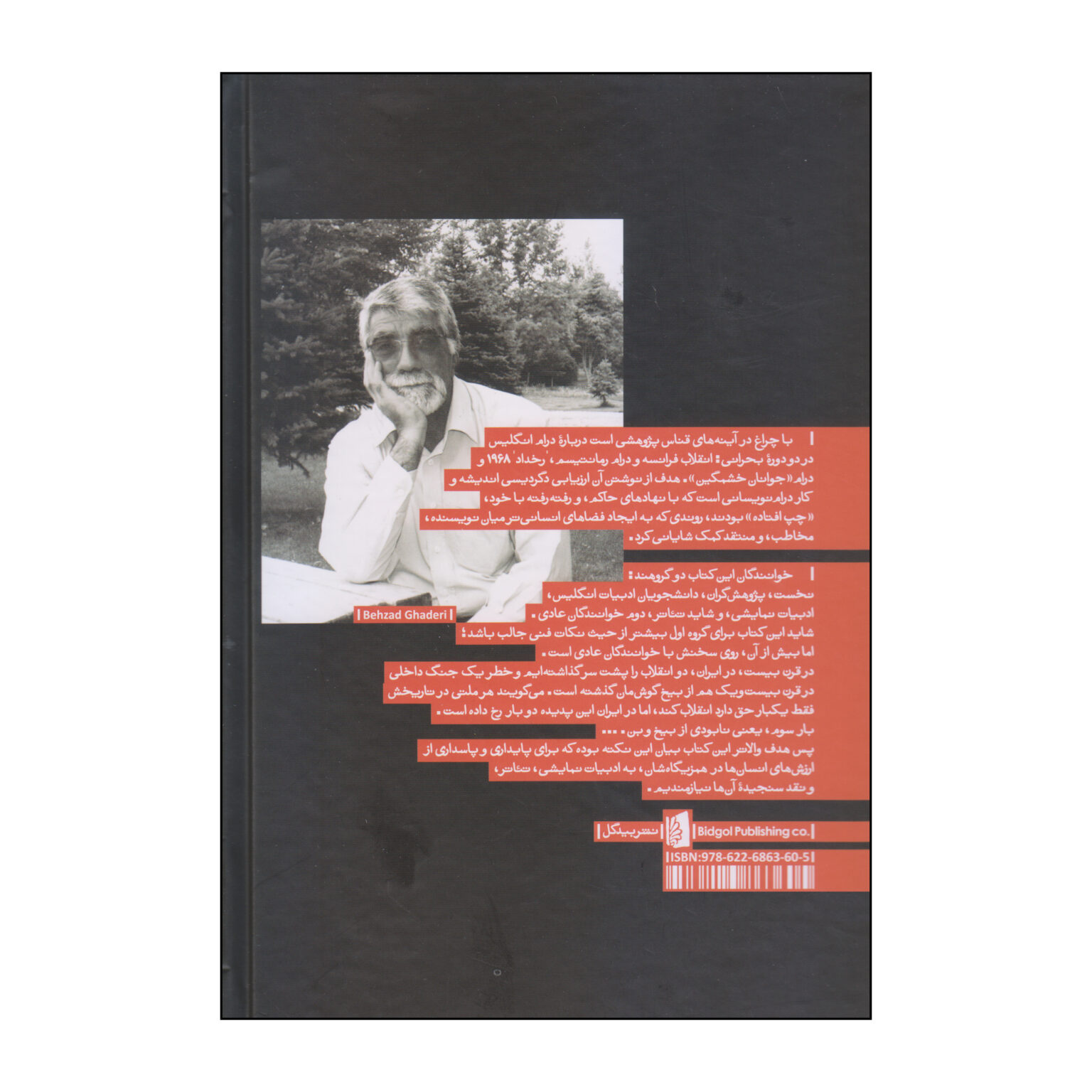 With The Lamp in the Distorted Mirrors Book by Behzad Ghaderi - ShopiPersia